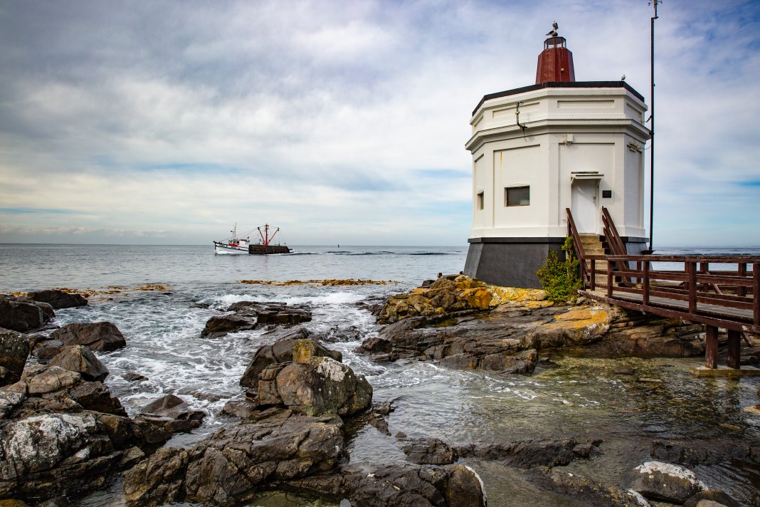 Hidden depths of the deep south - EastLife